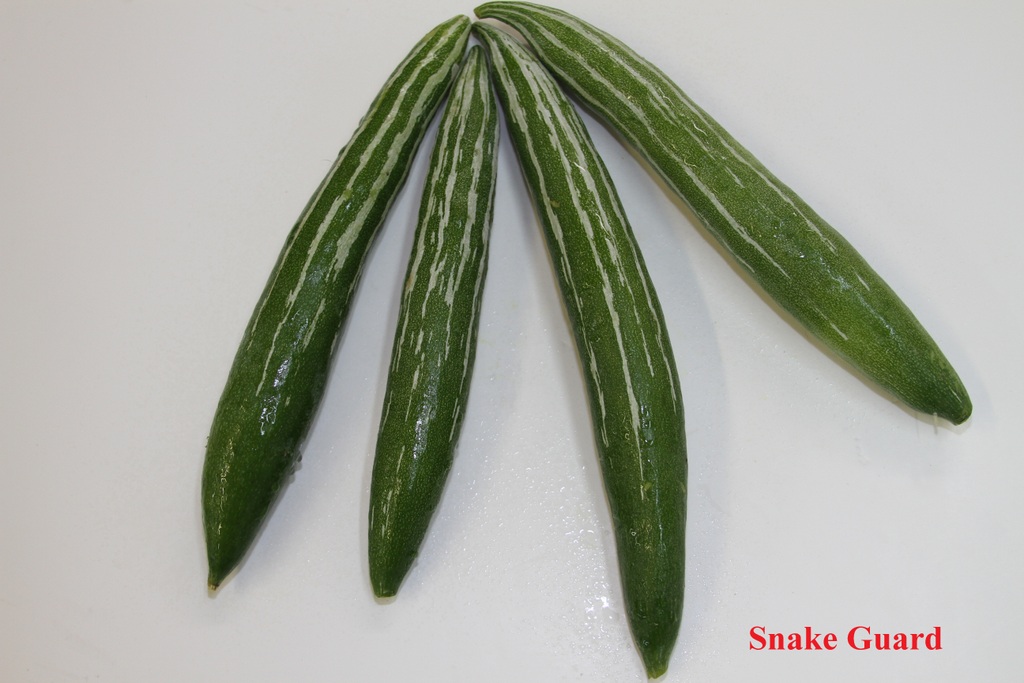 Gallery | Jalaram Produce